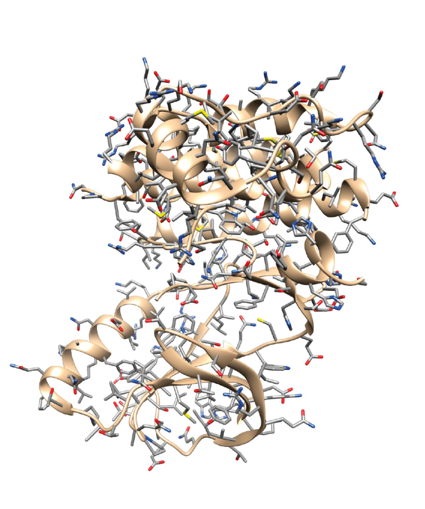 What is molecular modelling? - Precision Medicine - SIB